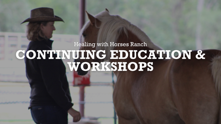 Healing with Horses Ranch – Where horses heal… body, mind, and soul.
